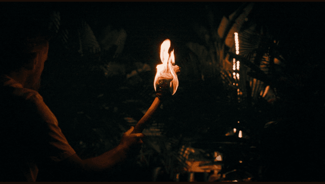 Jungle Rush | Dreamworld