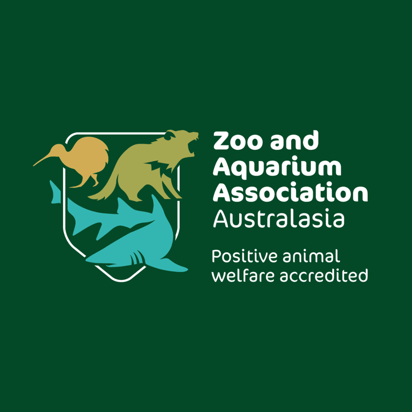 WILD with Australian Geographic | Dreamworld