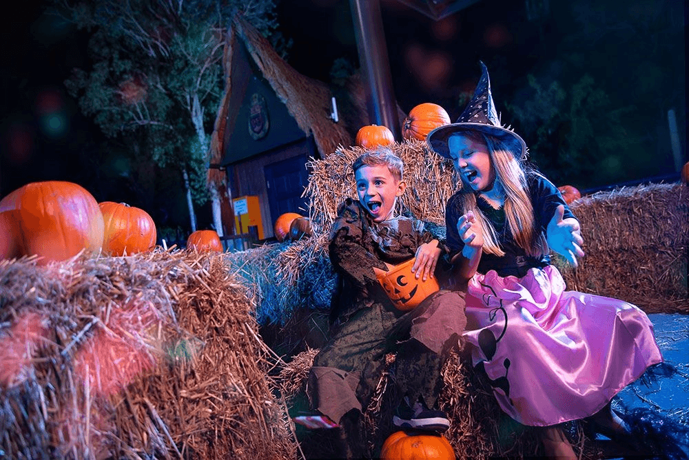 Happy Halloween Tickets | Dreamworld Events