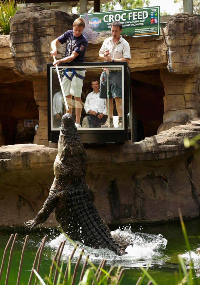 Experiences & upgrades | Dreamworld