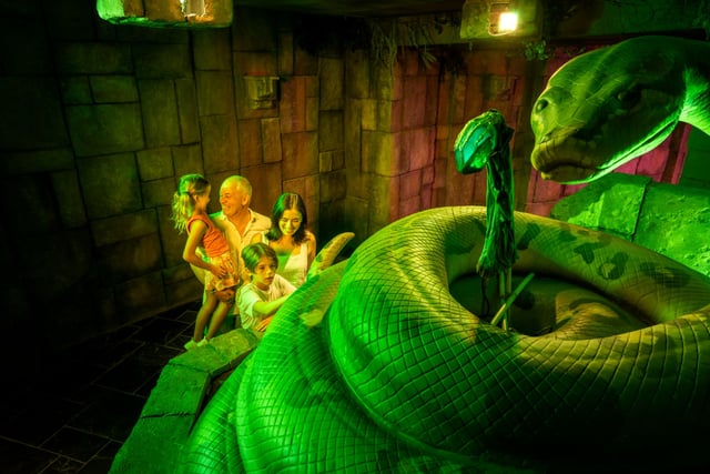 Jungle Rush | Dreamworld